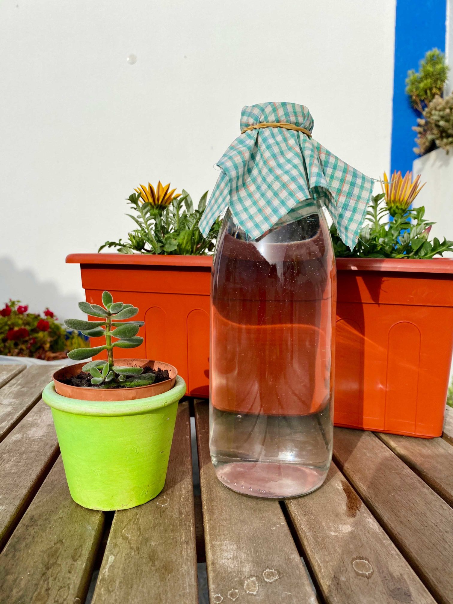 Aprenda a fazer e quais os benefícios da água solar